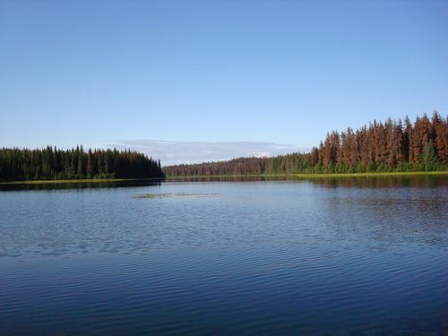 HAMMER LAKE, British Columbia | Angler's Atlas