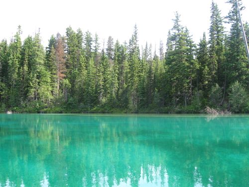 JOHNSON LAKE, British Columbia | Angler's Atlas