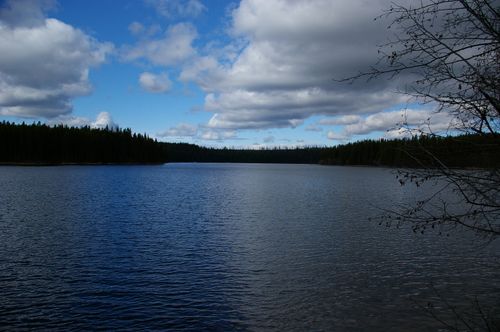 NICKLEN LAKE, British Columbia | Angler's Atlas
