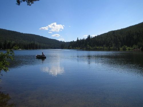 OSPREY LAKE, British Columbia | Angler's Atlas
