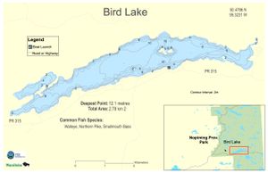 Bird Lake, Manitoba | Angler's Atlas