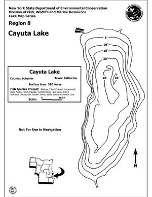 Cayuta Lake | Angler's Atlas