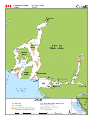 Capilano River, British Columbia | Angler's Atlas
