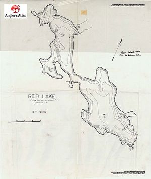 Reid Lake, Ontario | Angler's Atlas