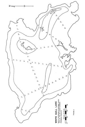 White Gull Lake, Saskatchewan | Angler's Atlas