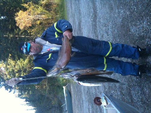 OBED LAKE, Alberta | Angler's Atlas