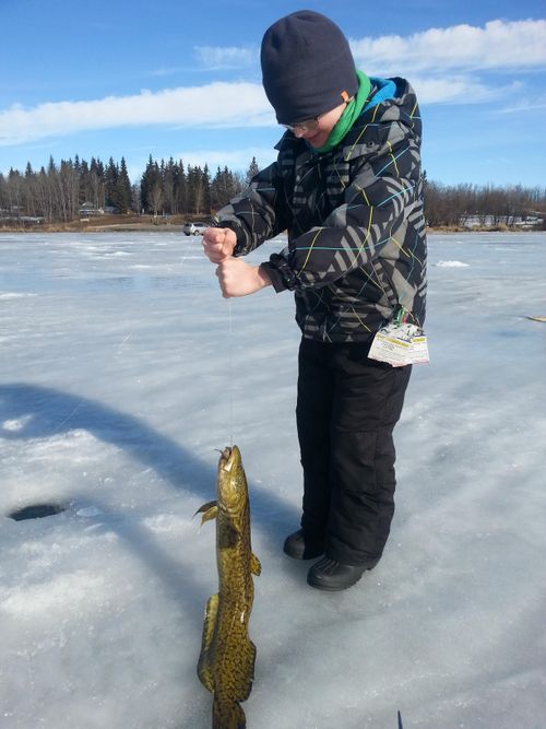 WIZARD LAKE, Alberta | Angler's Atlas