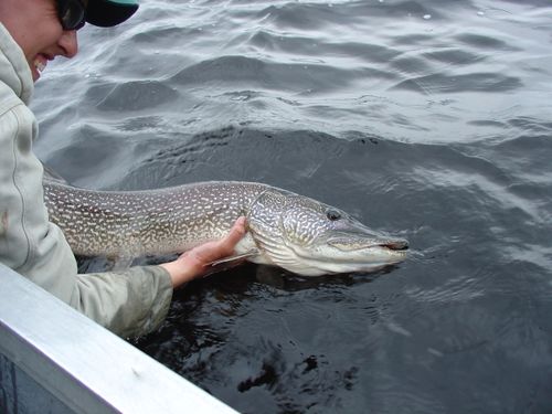 Kesagami Lake, Ontario | Angler's Atlas
