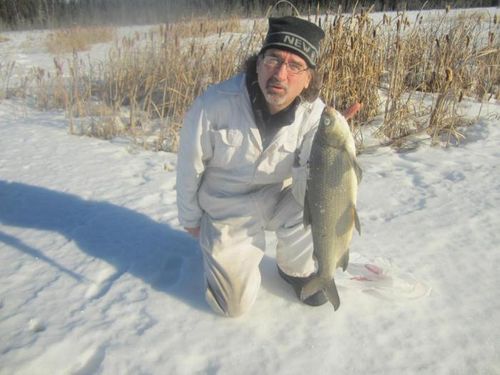 FICKLE LAKE, Alberta | Angler's Atlas