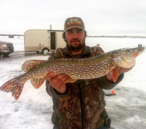 EAGLE LAKE, Alberta | Angler's Atlas