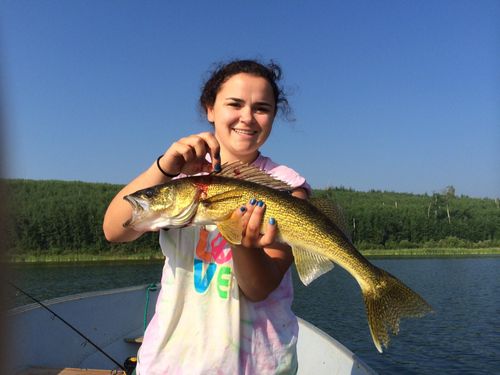 WHITEFISH LAKE, Alberta | Angler's Atlas