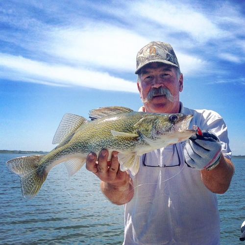EAGLE LAKE, Alberta | Angler's Atlas