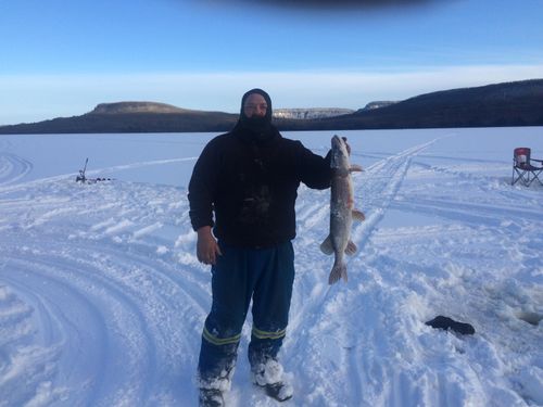 KLUA LAKES, British Columbia | Angler's Atlas