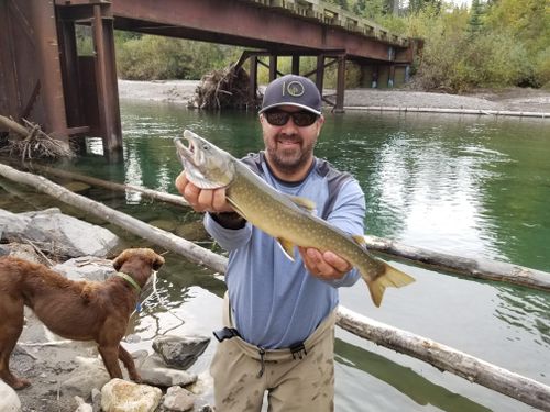 Bull Trout | Angler's Atlas