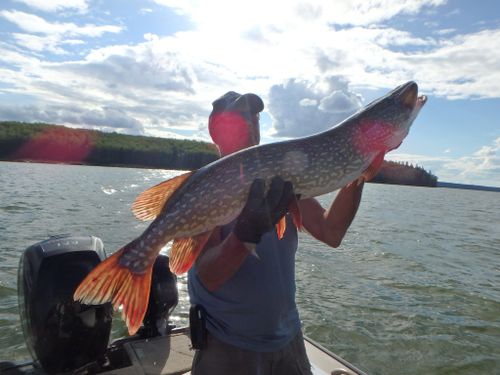 CALLING LAKE, Alberta | Angler's Atlas