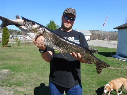 Gowganda Lake, Ontario | Angler's Atlas