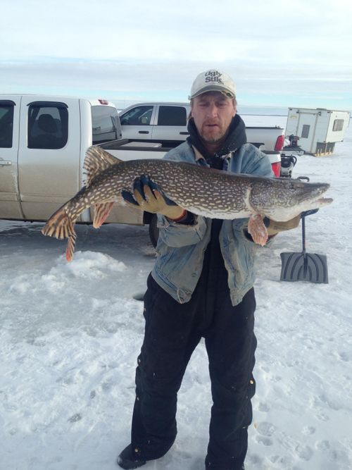 Buffalo Lake, Alberta | Angler's Atlas