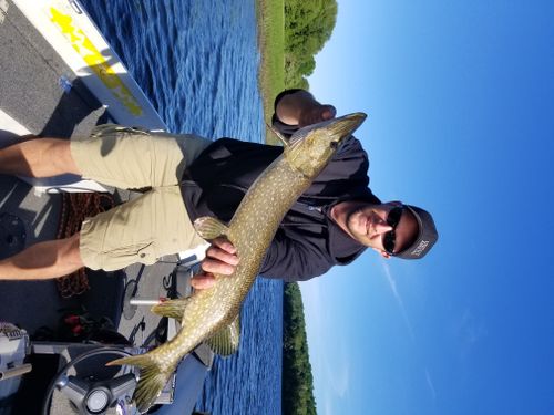 Muskrat Lake, Ontario | Angler's Atlas