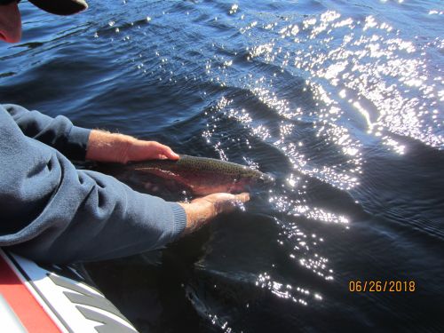 BOSS LAKE, British Columbia | Angler's Atlas
