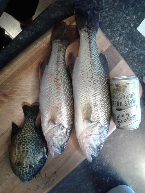 WASA LAKE, British Columbia | Angler's Atlas