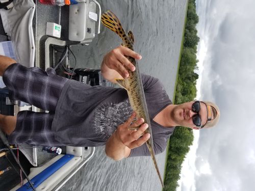 Stoco Lake, Ontario | Angler's Atlas