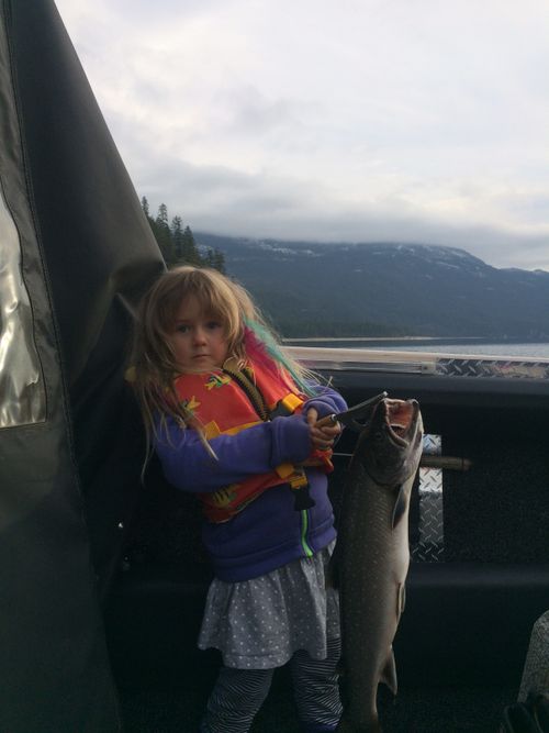Bull Trout | Angler's Atlas