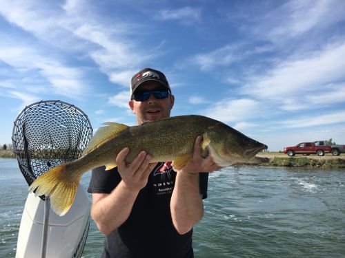 Lake Newell, Alberta | Angler's Atlas