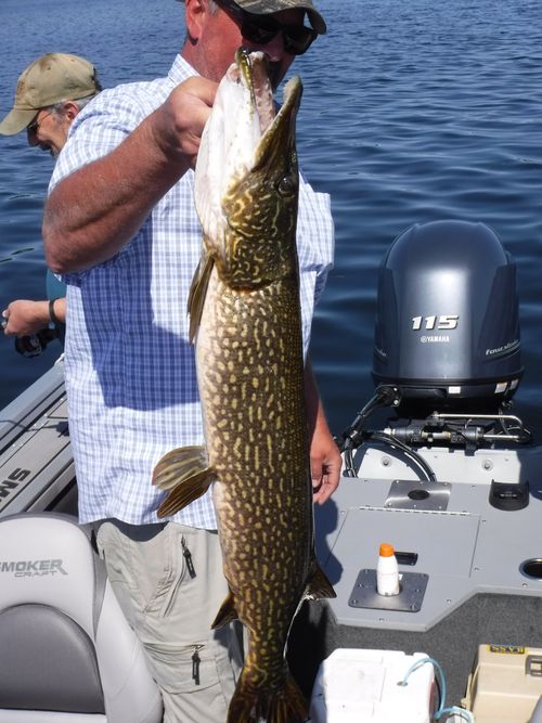 Loughborough Lake, Ontario | Angler's Atlas
