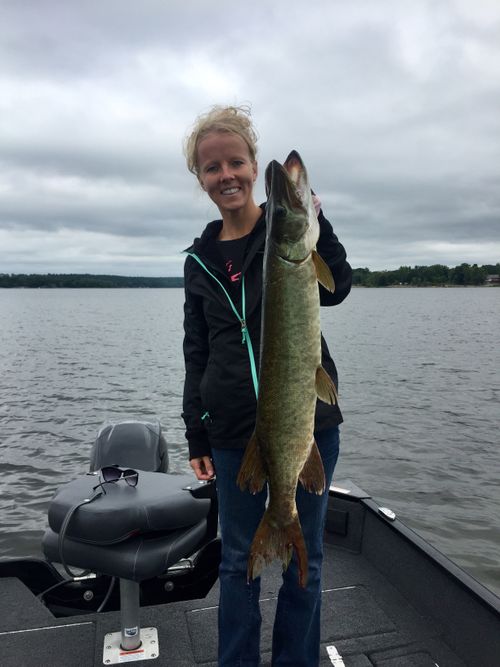 Stoco Lake, Ontario | Angler's Atlas