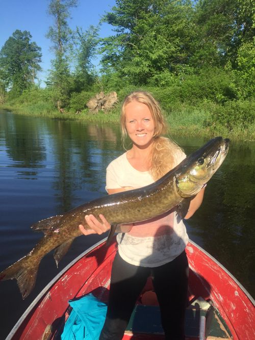 Stoco Lake, Ontario | Angler's Atlas