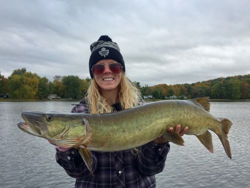 Stoco Lake, Ontario | Angler's Atlas