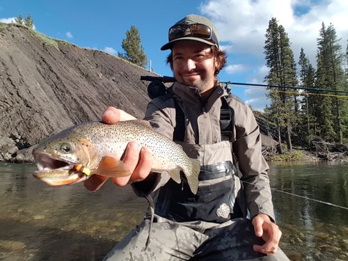 Livingstone River, Alberta | Angler's Atlas