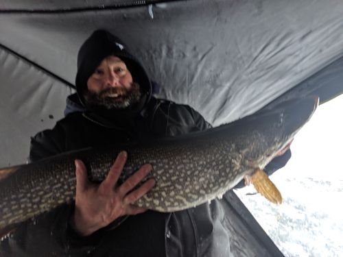 Lake Newell, Alberta | Angler's Atlas