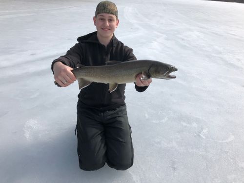 Bull Trout | Angler's Atlas