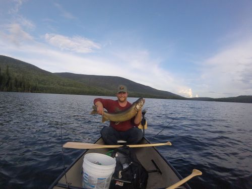 MORFEE LAKES, British Columbia | Angler's Atlas