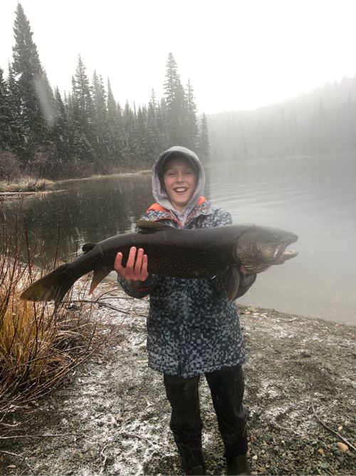 NARROW LAKE, British Columbia | Angler's Atlas