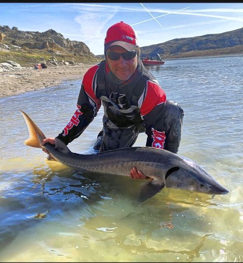 White Sturgeon | Angler's Atlas