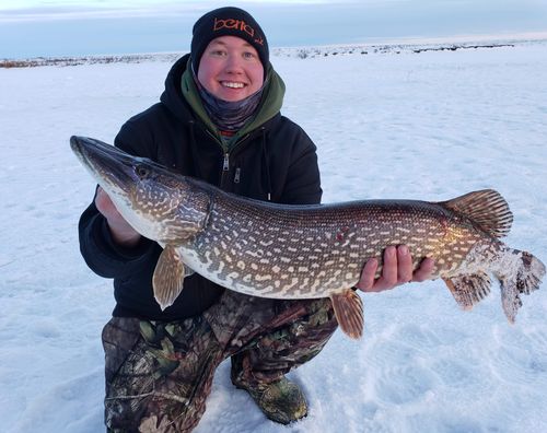 Lake Newell, Alberta | Angler's Atlas