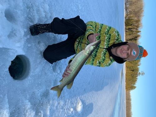 Moira Lake, Ontario | Angler's Atlas
