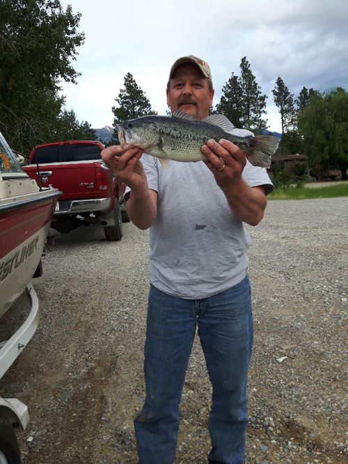 WASA LAKE, British Columbia | Angler's Atlas