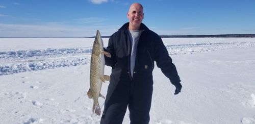 LESSER SLAVE LAKE, Alberta | Angler's Atlas