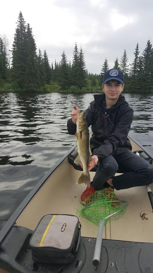FICKLE LAKE, Alberta | Angler's Atlas