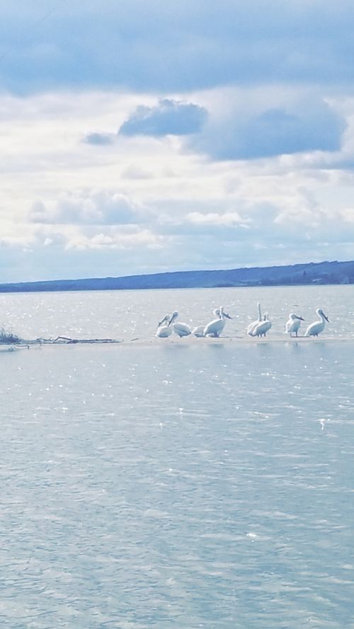 Pasqua Lake, Saskatchewan | Angler's Atlas