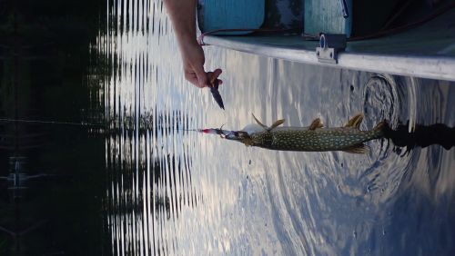 Otter Lake, Ontario | Angler's Atlas