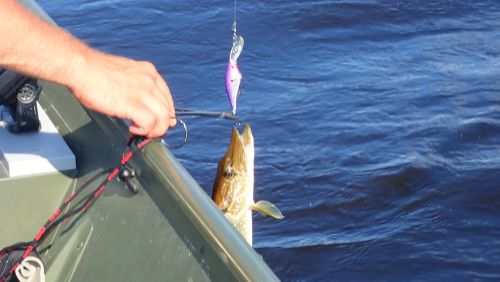 Mattagami River, Ontario | Angler's Atlas