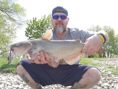 Channel Catfish | Angler's Atlas