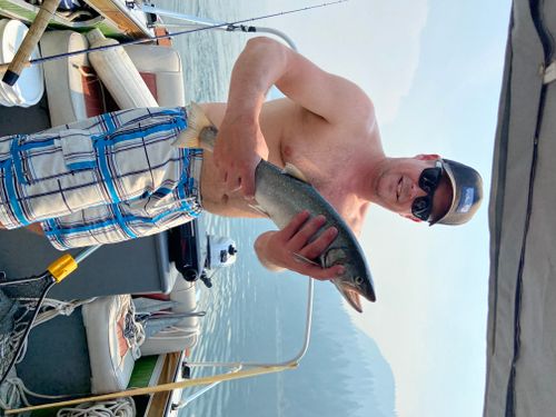 Bull Trout | Angler's Atlas