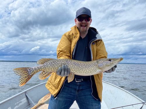 Winefred Lake, Alberta | Angler's Atlas