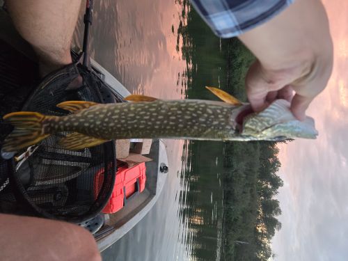 Angler's Atlas