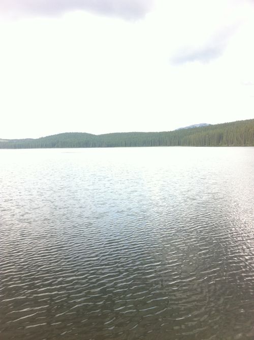 SHUNDA LAKE, Alberta | Angler's Atlas